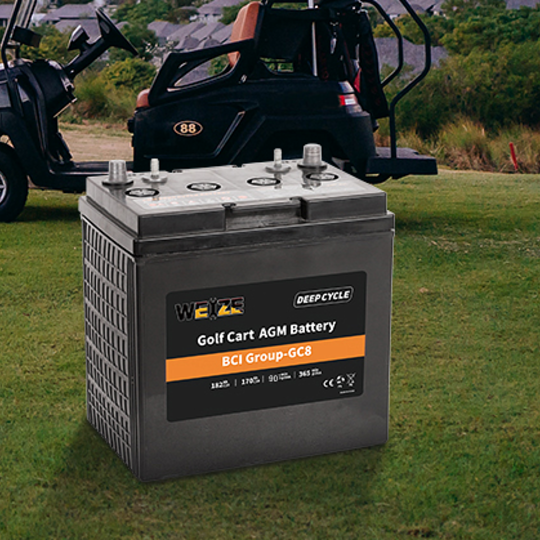 Winterizing Your Golf Cart Batteries: Tips for Long-Lasting Performanc ...
