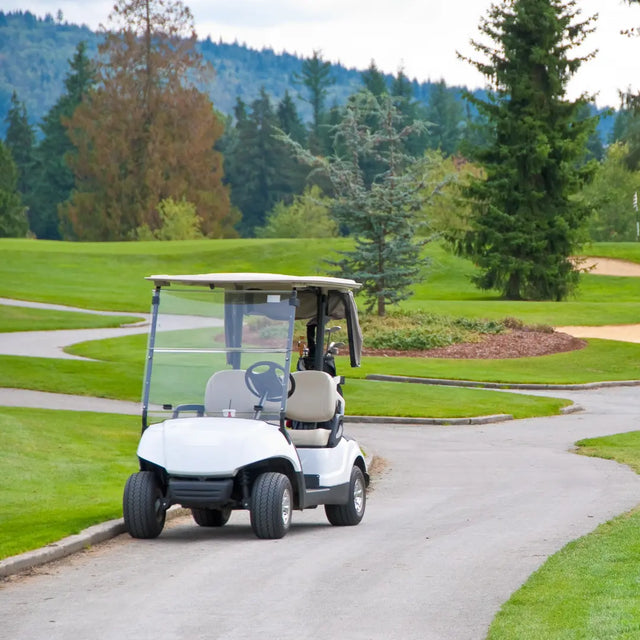 How Often Is It Necessary to Charge 48V Golf Cart Batteries? – WEIZE