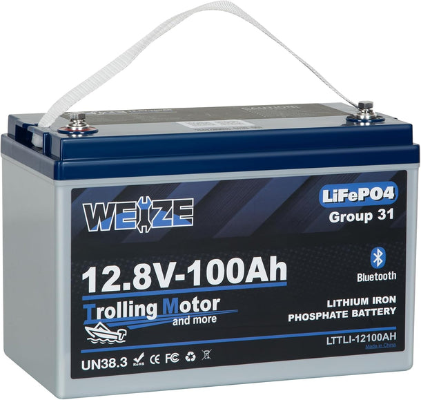 WEIZE 12V 100Ah Lithium Battery | Deep Cycle, LiFePO4