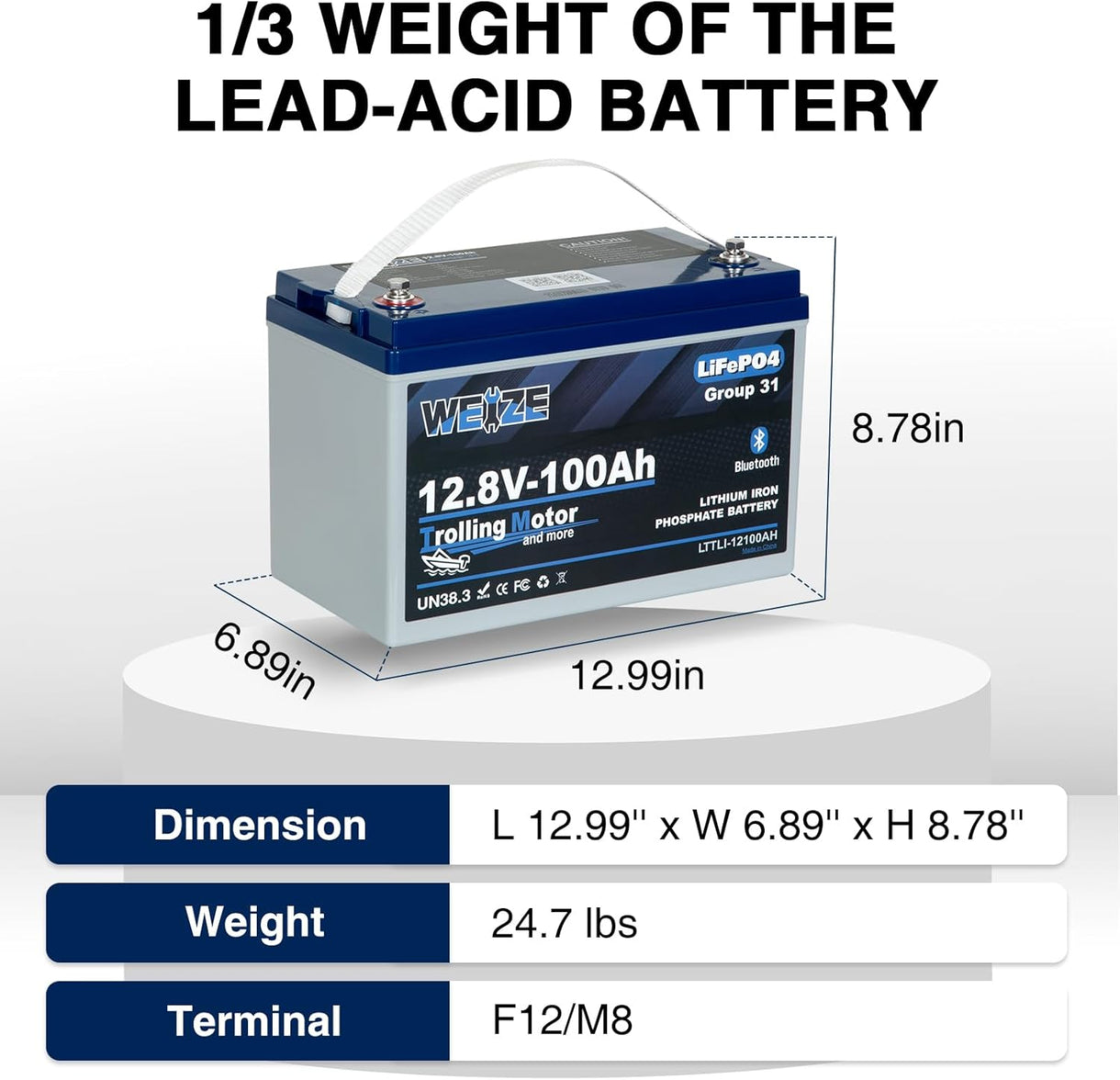WEIZE 12V 100Ah Lithium Battery | Deep Cycle, LiFePO4