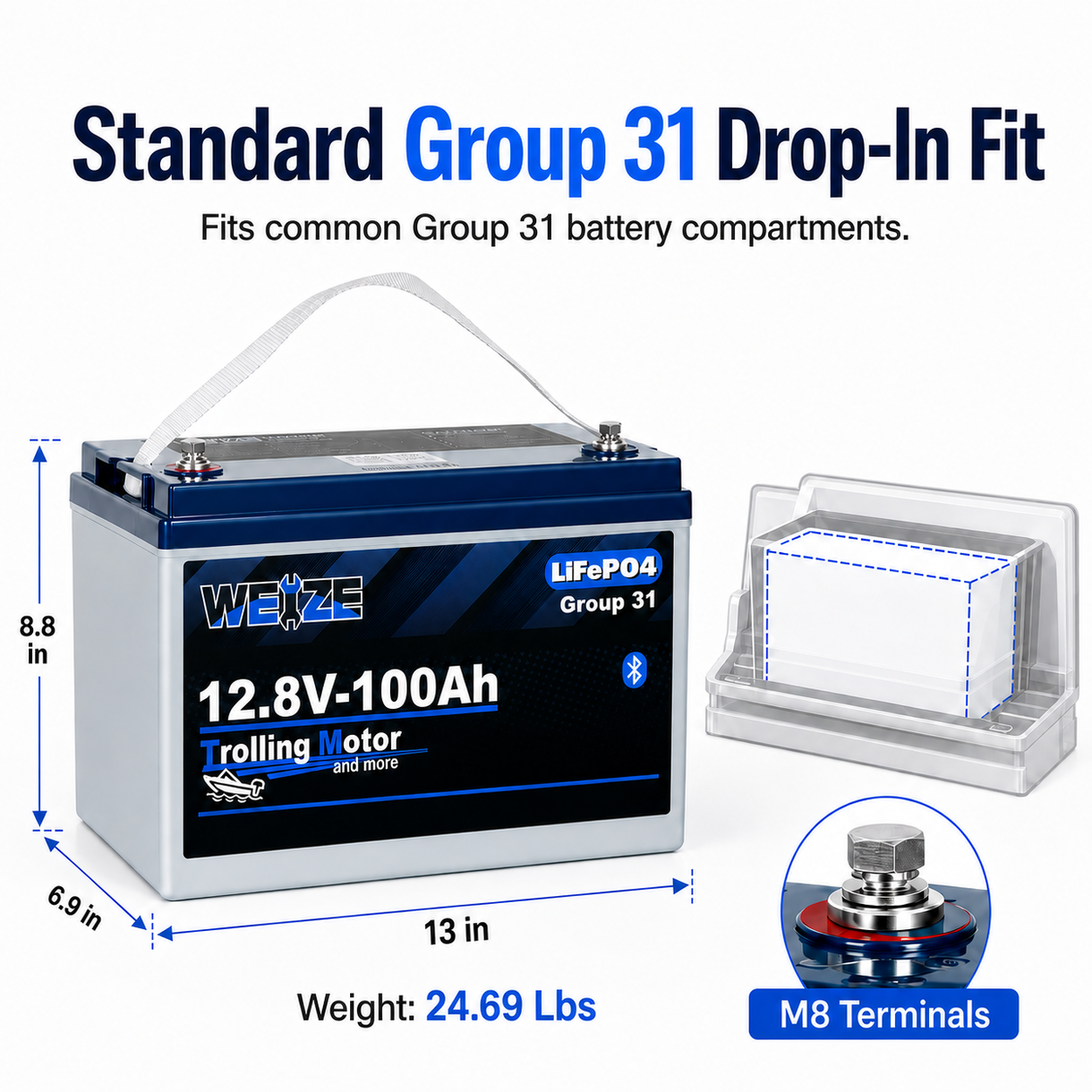 Weize 12v 100ah Lifepo4