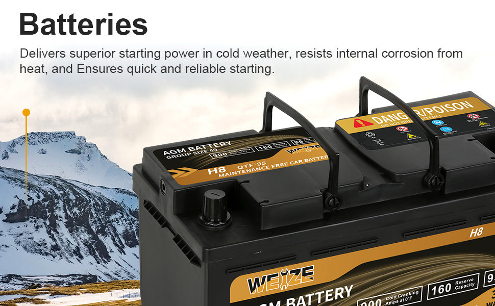 WEIZE Platinum AGM Car Battery BCI Group 49 - 12V 95Ah H8