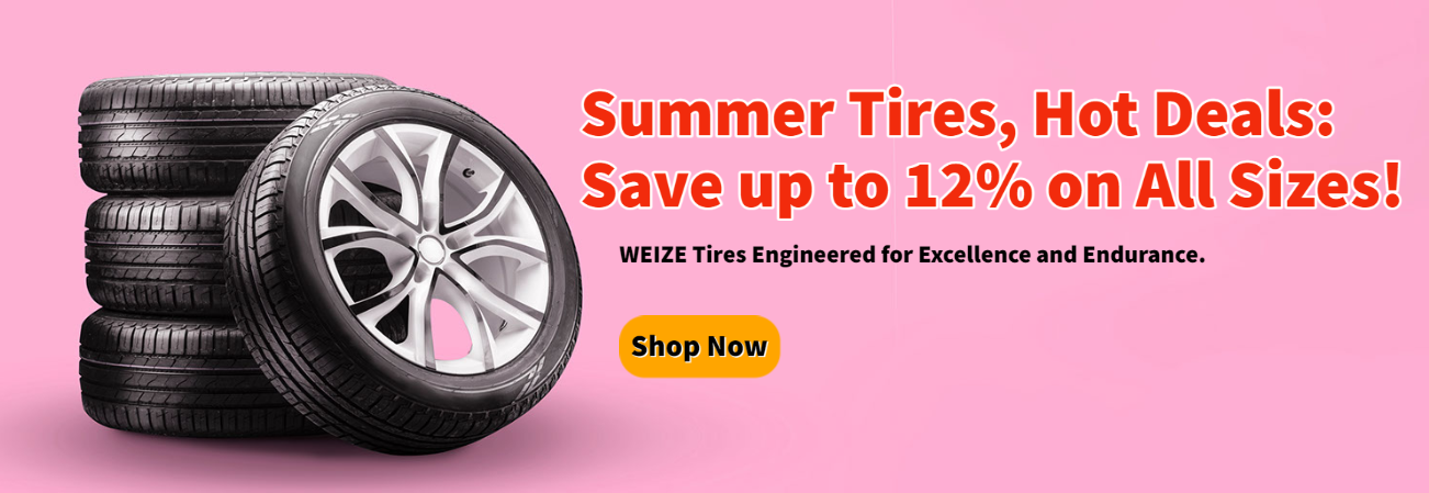 WEIZE - Lithium Iron Phosphate Battery丨Solar Power Solution | WEIZE